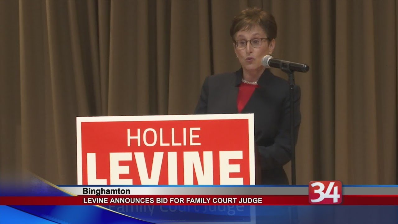 Hollie Levine for Family Court Judge - YouTube