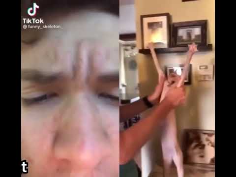 Quite shocking if that cat hit the whip