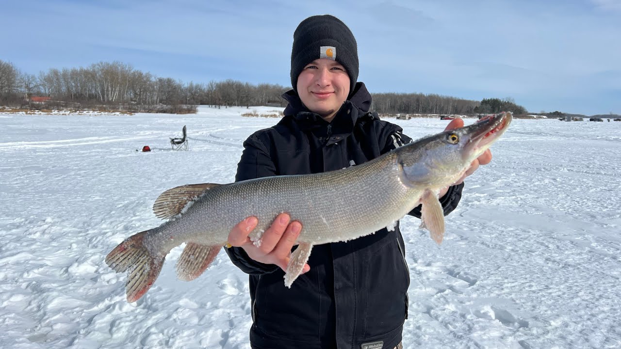 SILVER PIKE CAUGHT IN MANITOBA #fishing #manitoba #fishingvideo - YouTube