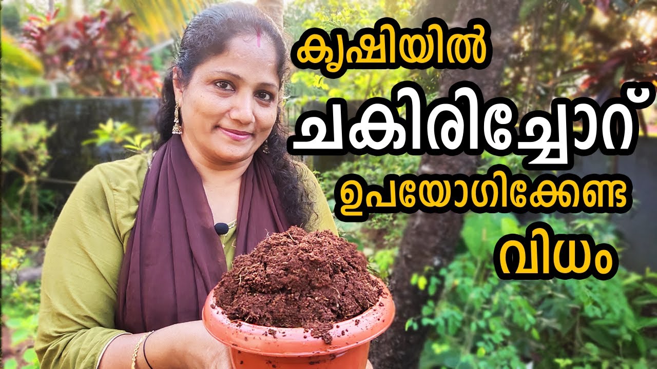 കൃഷിയിൽ ചകിരിച്ചോറ് ഉപയോഗിക്കേണ്ട വിധം | How to use Chakiri Choru (Coco ...