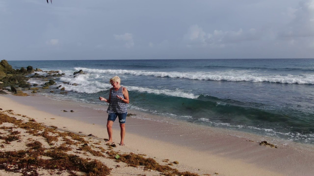 Gentle WInd Walk - YouTube