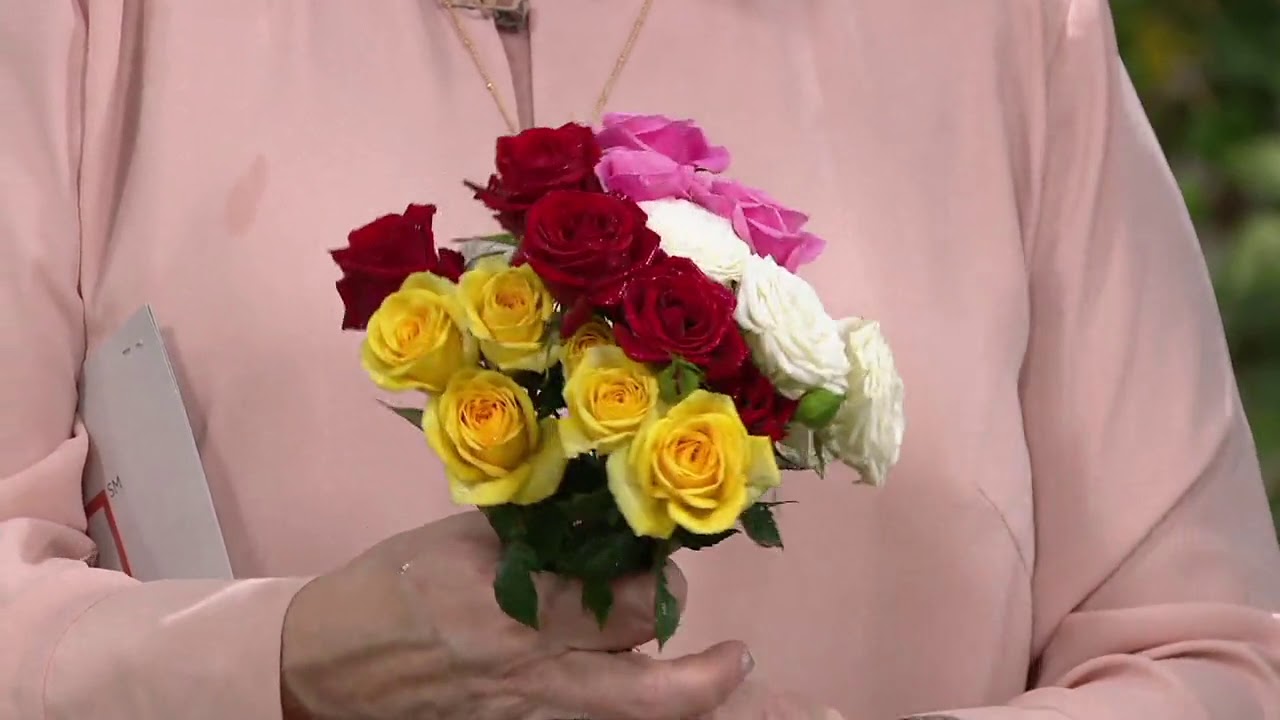 Phillip Watson Designs 4-Piece Mini Rose Collection on QVC - YouTube