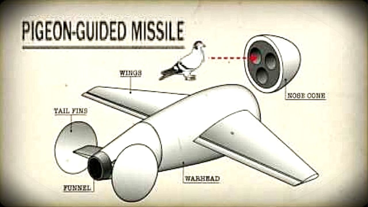 The Pigeon-Guided Missiles of WW II | Project Orcon | Unique Missile ...