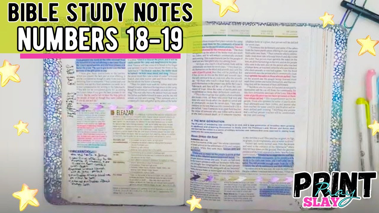 Numbers 18-19 Bible Study With Me | Cookies & Christ - YouTube