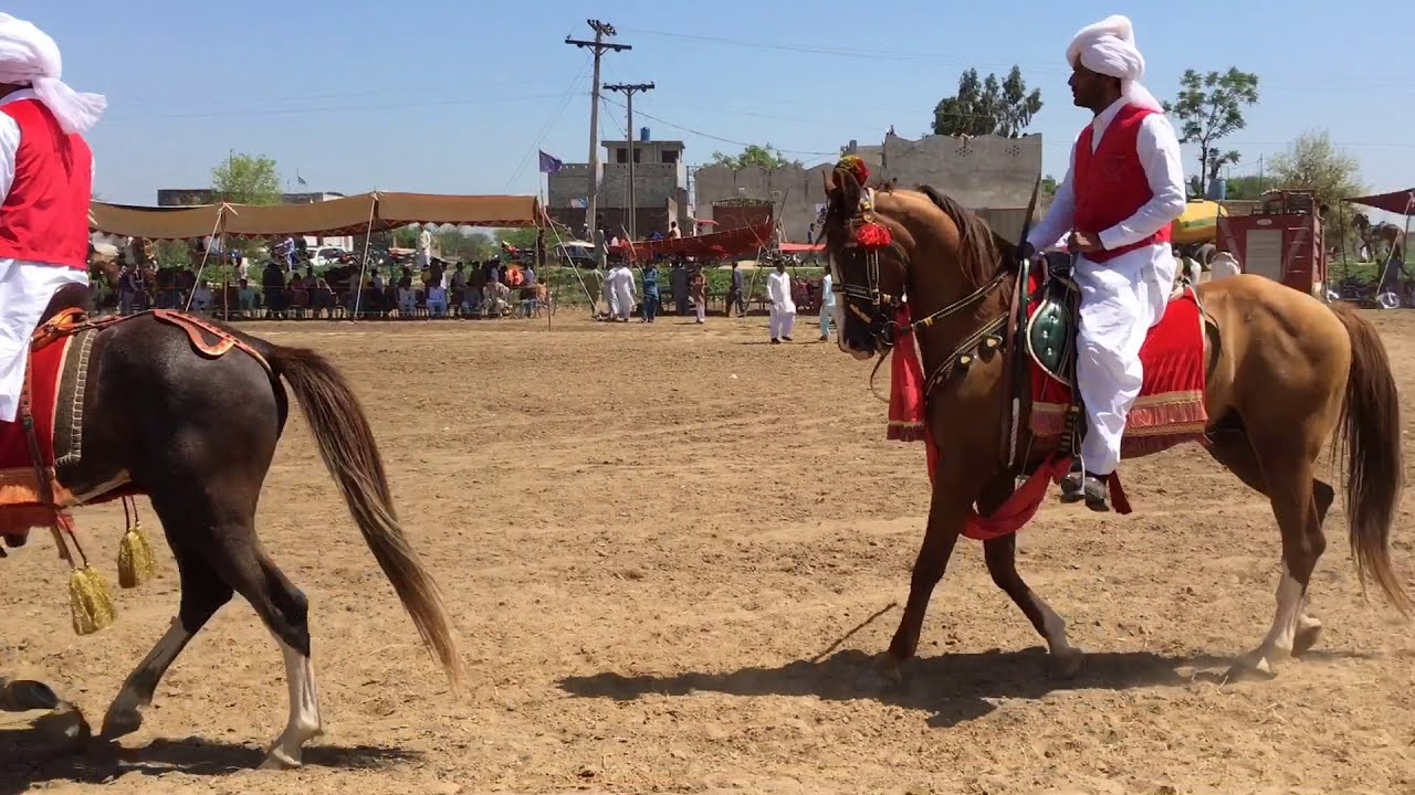 Neza bazi First Day In lalamusa Pakistan 2019 - YouTube