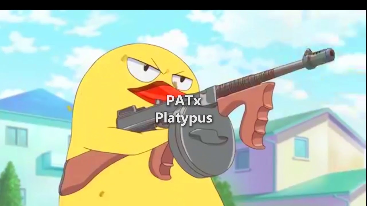 PATx - Platypus - YouTube