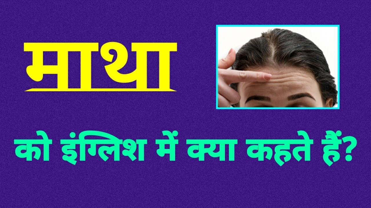 माथा को इंग्लिश में क्या कहते हैं | matha ko english mein kya kahate ...