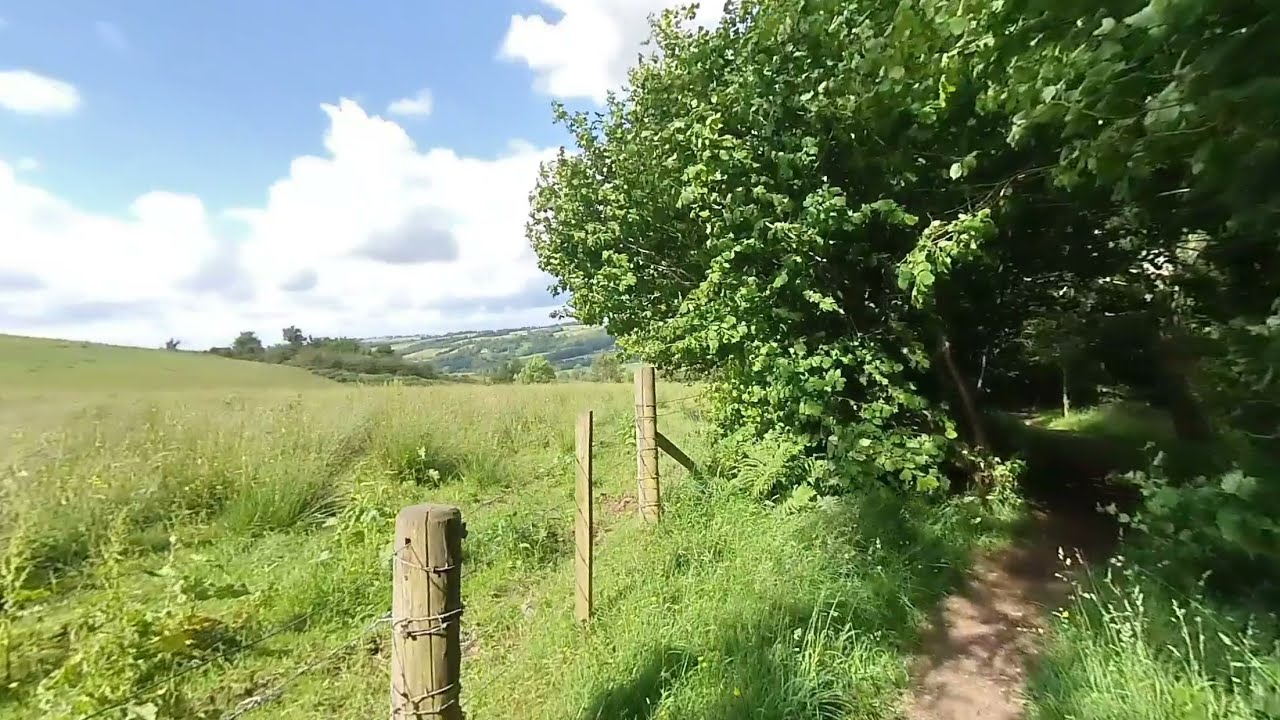 Nethan Gorge, Crossford , Scotland on 2021-07-07 at 1626 in VR180 - YouTube
