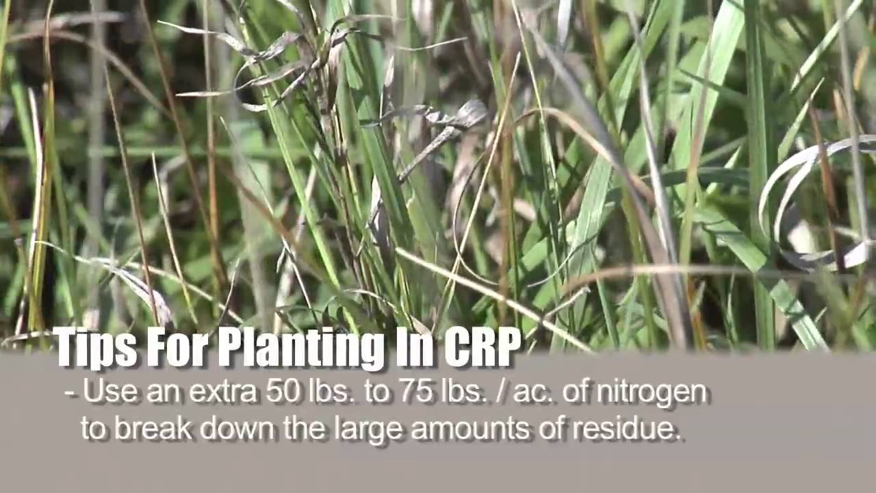 Flooded & CRP Ground #613 (From Ag PhD #613 1/3/10) - YouTube