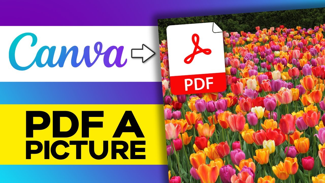 How To PDF A Picture In Canva - YouTube