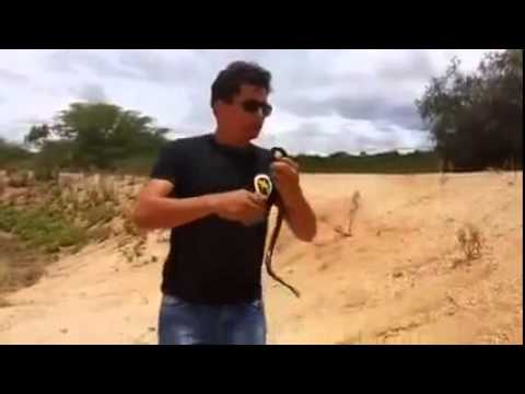Muçurana a Cobra do Bem - YouTube