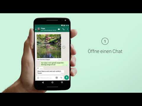 Sprachanrufe auf WhatsApp führen