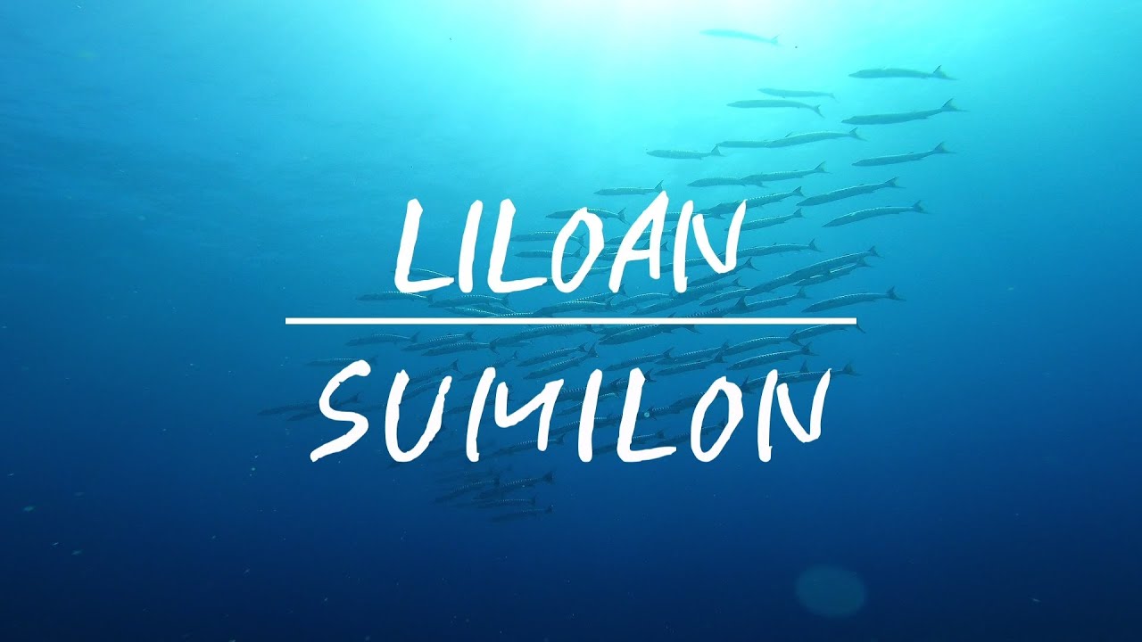 2022 LILOAN DIVINGㅣSUMILON DIVINGㅣSCUBA DIVING in PHILIPPINESㅣ릴로안 다이빙ㅣ ...