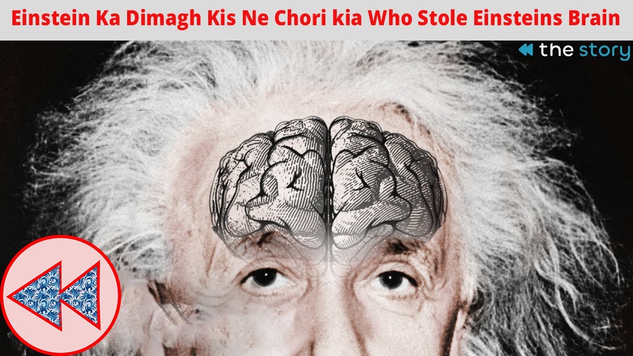 Unveiling the Mystery: Who Stole Einstein's Brain? - YouTube
