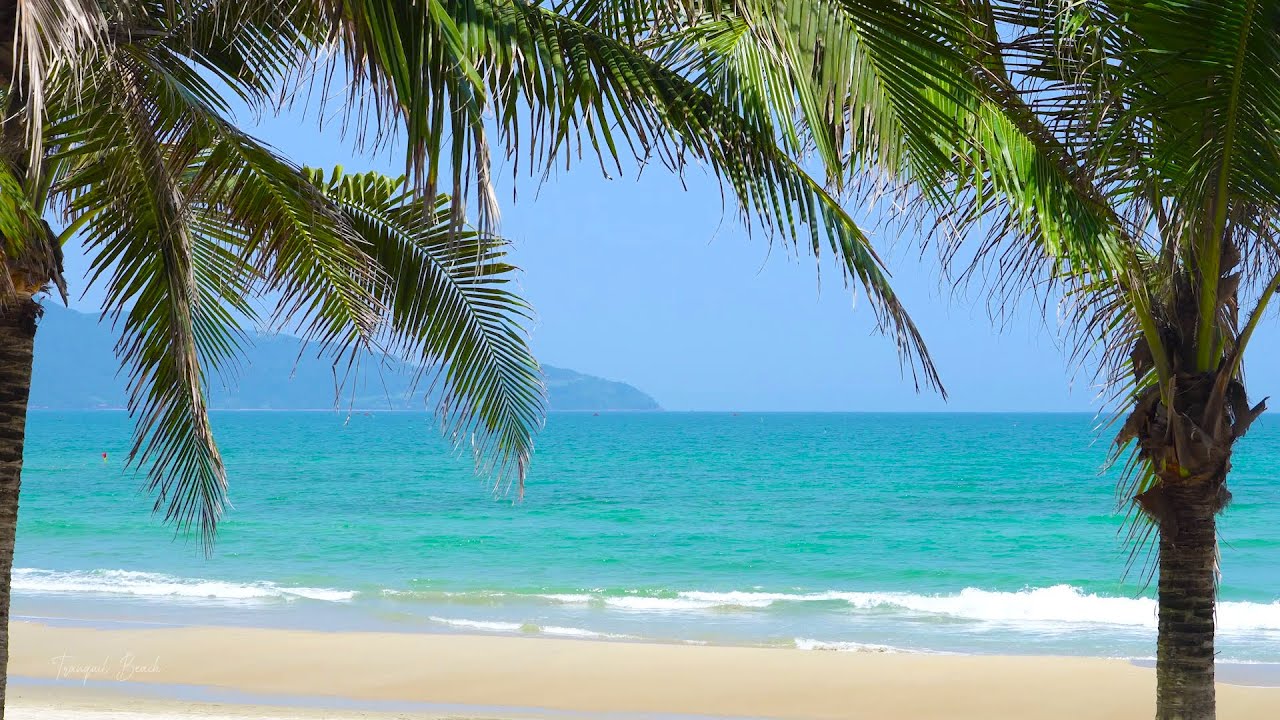 🌴 Ocean Ambience on a Tropical Beach with Soothing Waves & Paradise ...