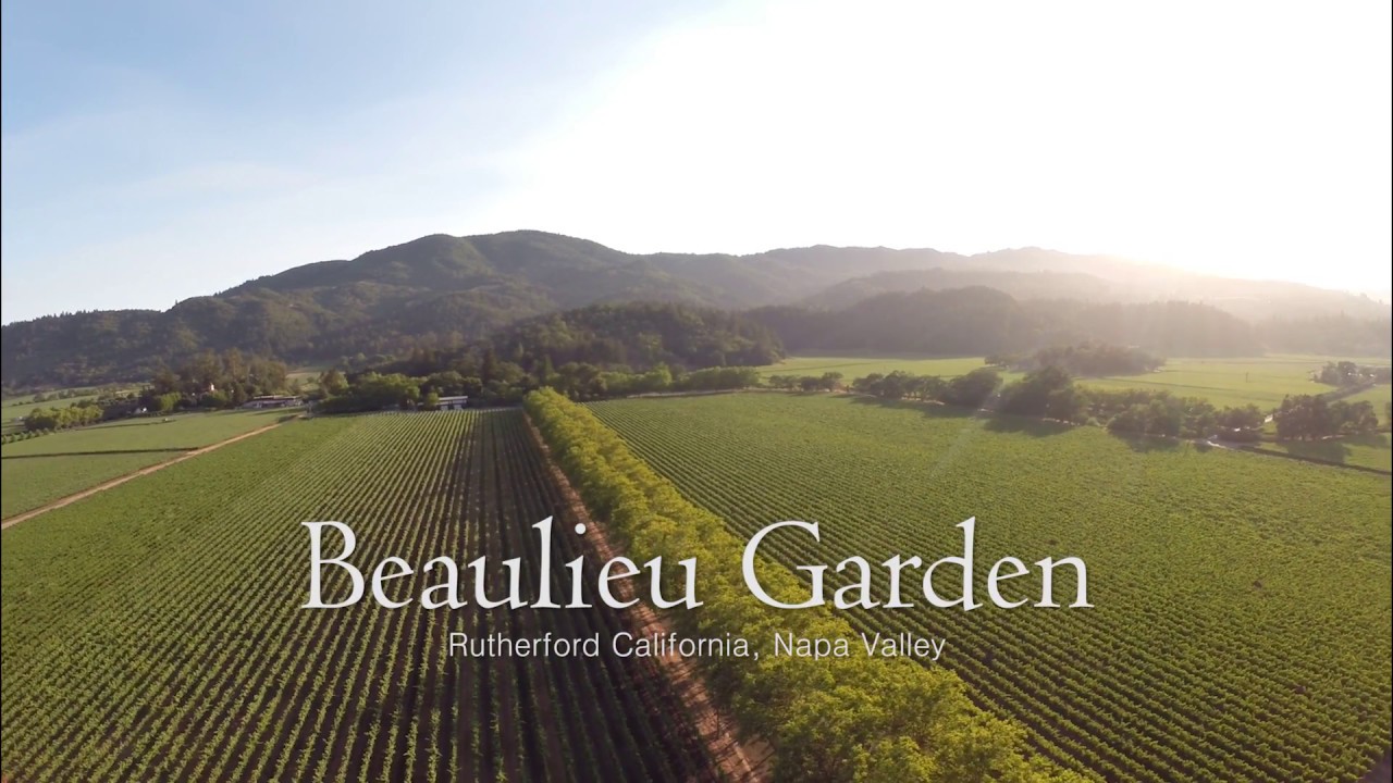 Beaulieu Garden - Rutherford Napa Valley - by Aerial Photo Media - YouTube