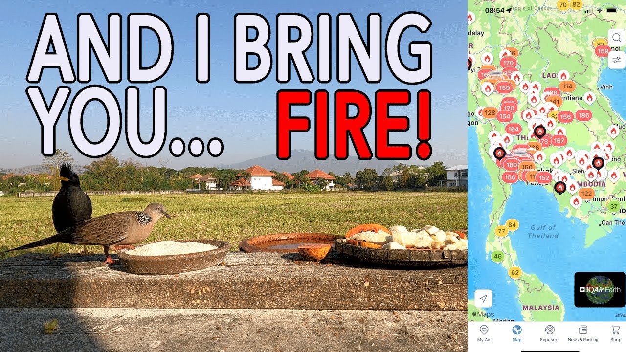 14 February 2024 AQI 151 Daily Views of a Chiang Mai Bird Table and Sky ...