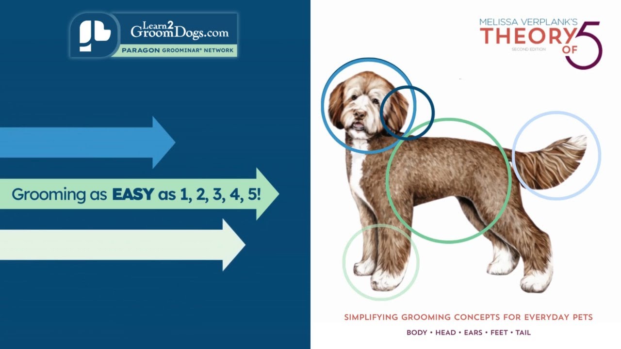 Theory of 5 Series Intro - YouTube