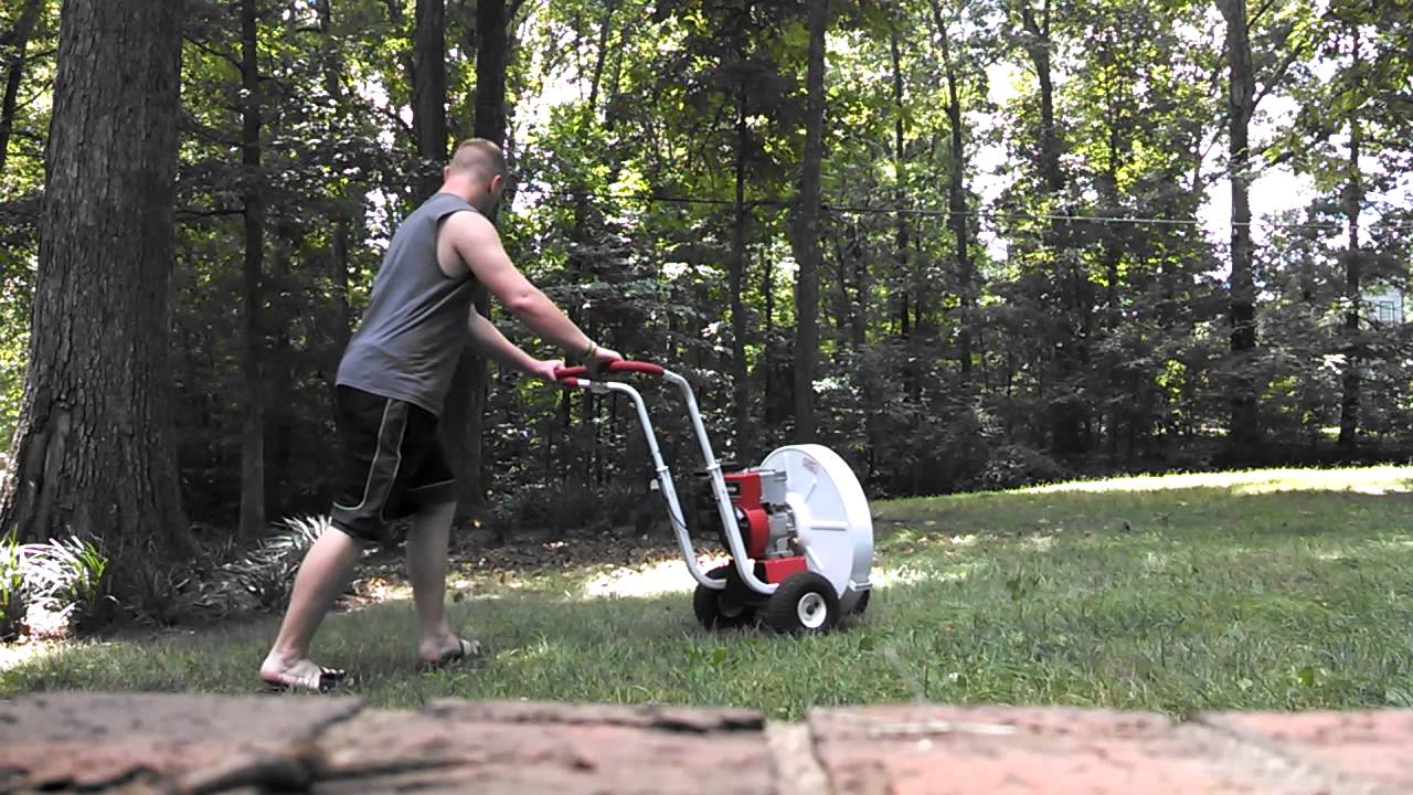 Little wonder blower blowing leaves - YouTube