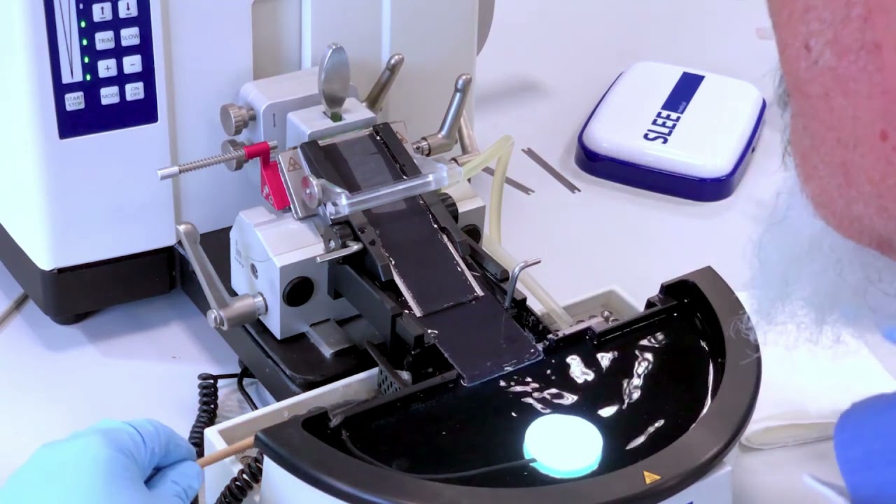 SLEE aquatec + CUT6062 | Automatic section transfer system + fully ...