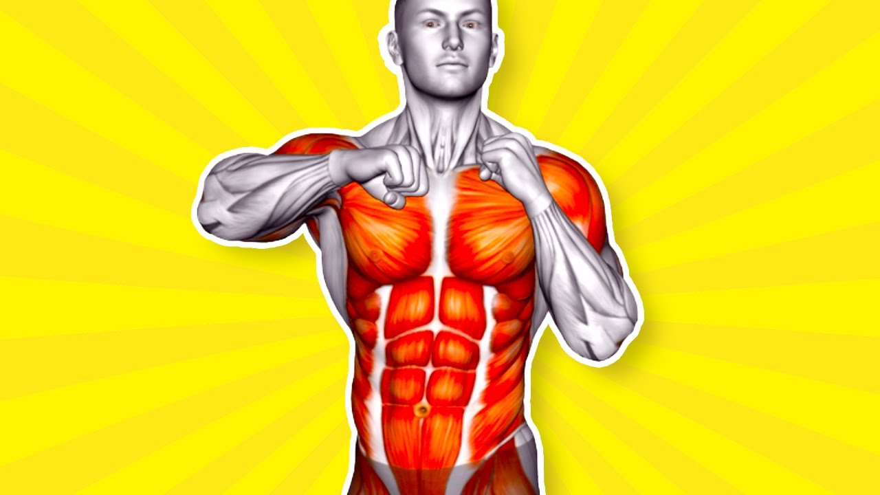 Try These 7 Exercises to TORCH STUBBORN BELLY FAT FOR GOOD - YouTube