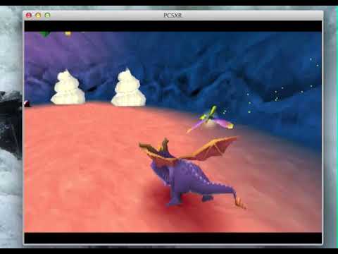 Seashell Shore Fun Run - YouTube