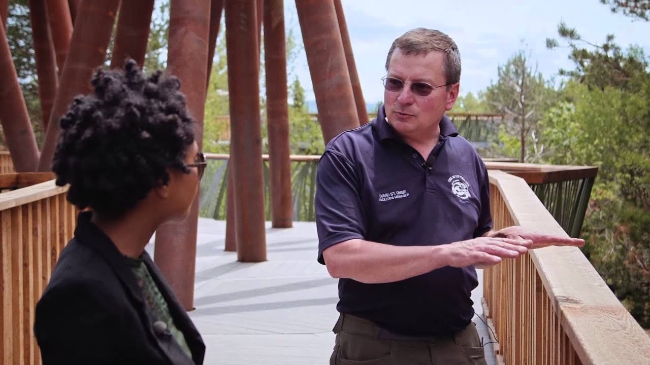 A Tour of The Wild Center's Wild Walk - YouTube