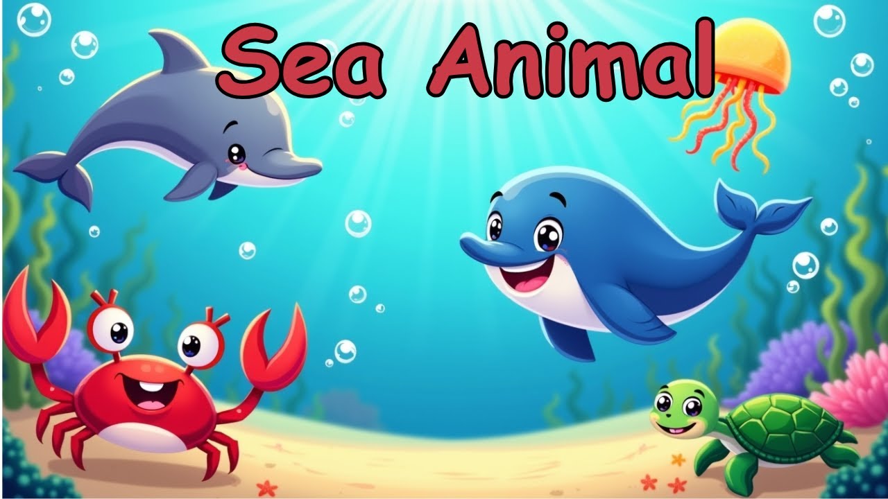 Swim with the Sea Crew | Sea Animals | Ocean Animals | Aquatic Animals ...