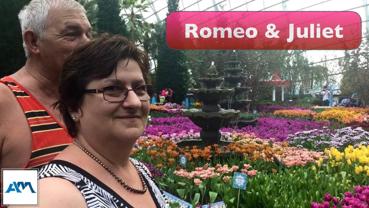 Rodica Stefan - Romeo Juliet - Love Story - YouTube