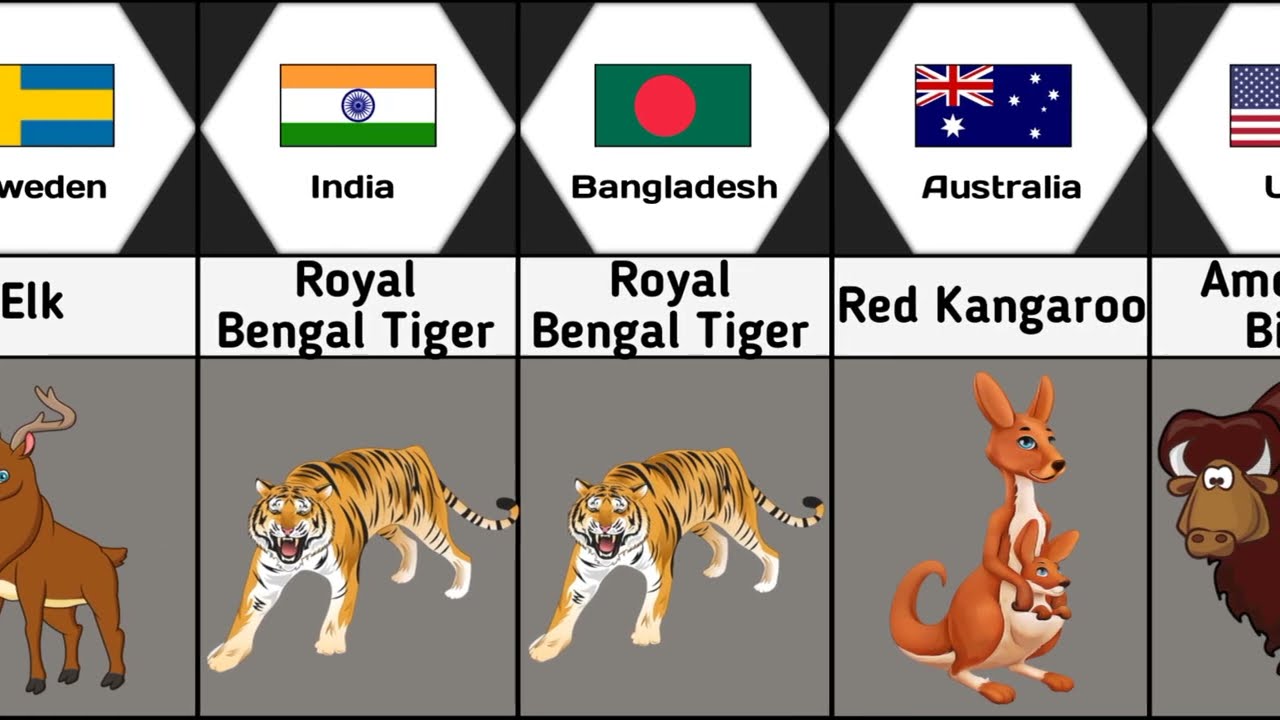 National Animals From Different Countries - YouTube
