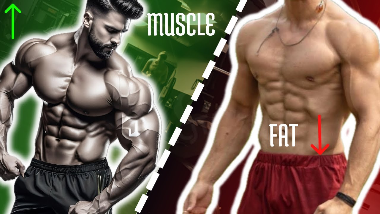 Gain MUSCLE Loose FAT (BODY RECOMPOSITION) - YouTube