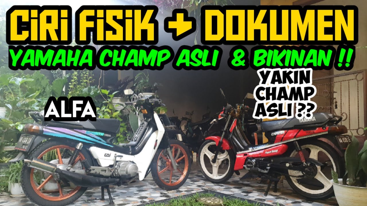 Ciri Fisik & Dokumen Yamaha Champ Asli dan Modifikasi an Alfa - YouTube