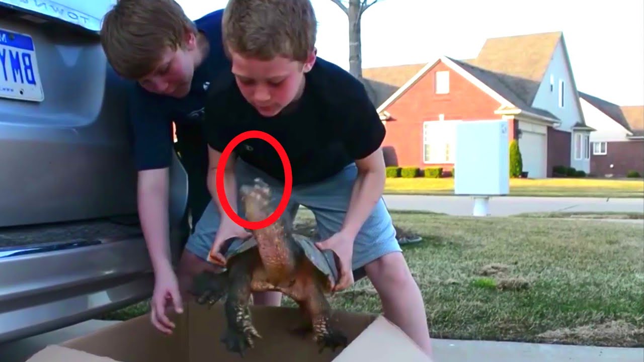 Most Terrifying Videos I’ve Seen in a Minute - YouTube