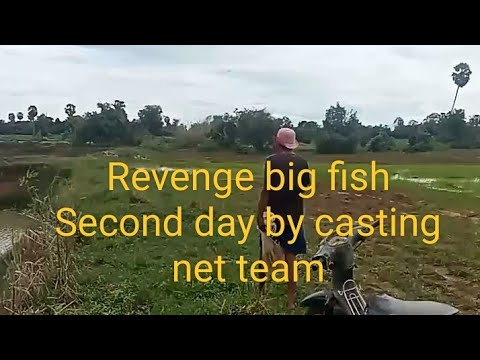 Part 123 : Fishing in the pond ,casting net #fishingvideo #catchingfish ...
