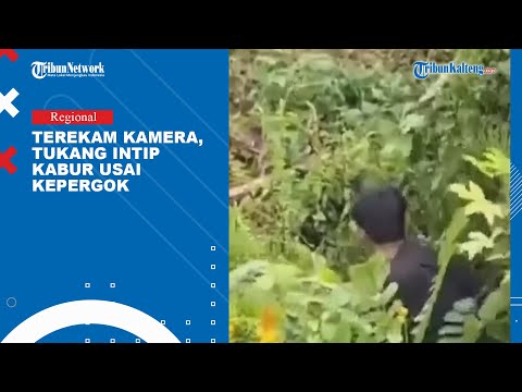 Terekam Kamera, Tukang Intip Kabur Usai Kepergok Pemilik Rumah