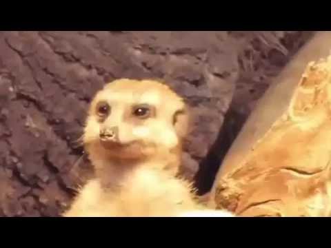 Hoca Ders Anlatırken Ben !