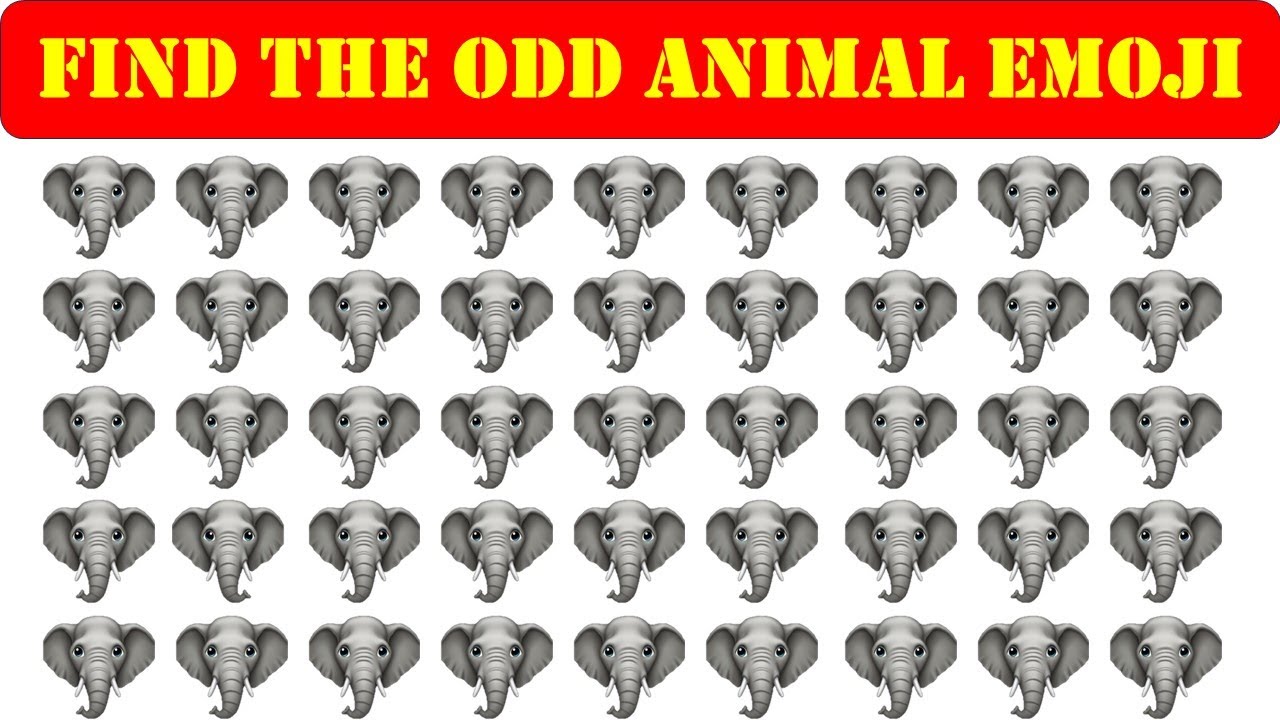 FIND THE ODD ONE OUT 🦁🐵 Animals edition | KIDS QUIZ - YouTube