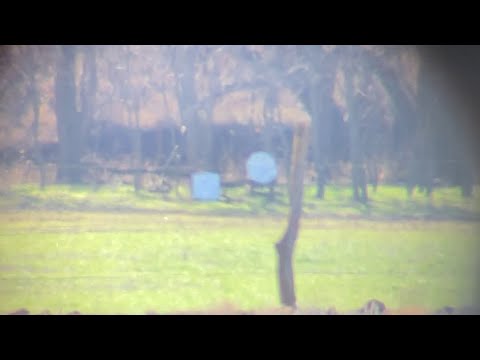 223 Ruger Predator 880 yards / Half Mile - YouTube