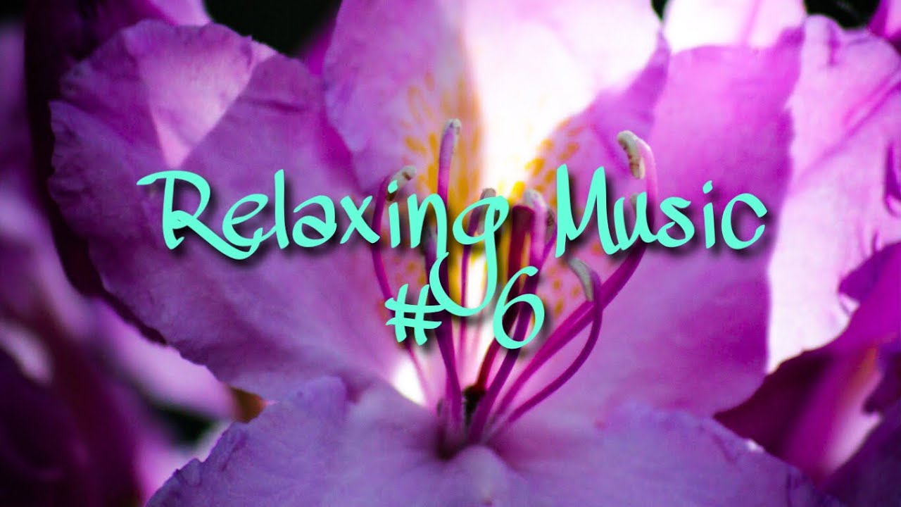Relaxing Music | Soothing Melody | Yoga | Meditation | Calm Music | 1 ...
