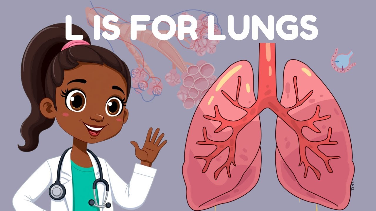 L is for Lungs! Breathe In, Breathe Out with Dr Dee | How Do Lungs Work ...