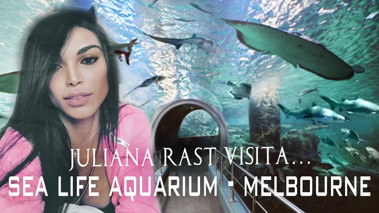 JULIANA RAST in SEA LIFE AQUARIUM - YouTube