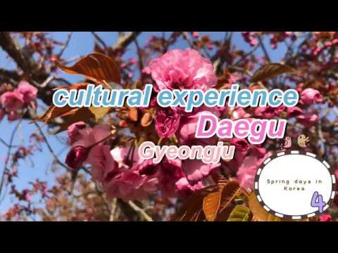 Spring days in Korea (cultural experience) - YouTube