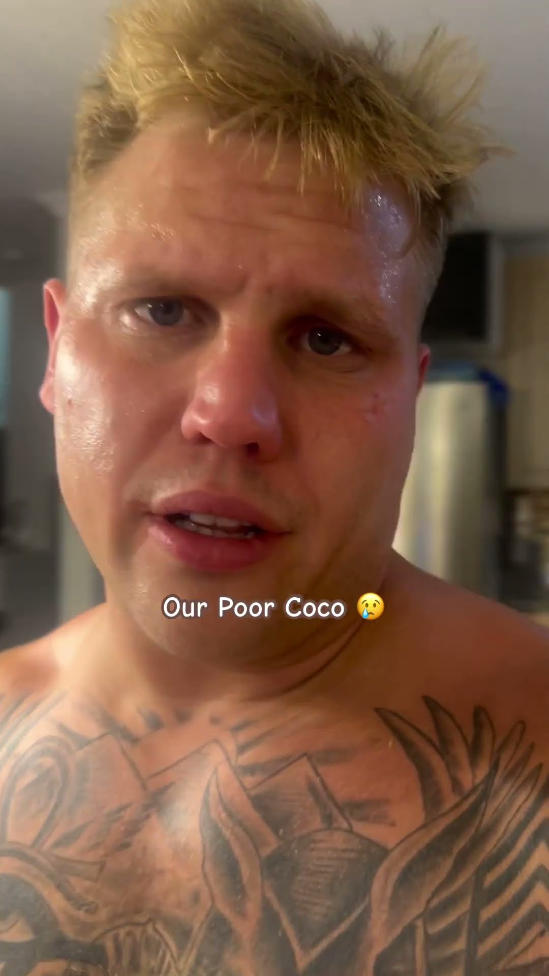 Our Coco went into labour a month early 😢 #PoorCoco 🐩 💔 😔 we are ...