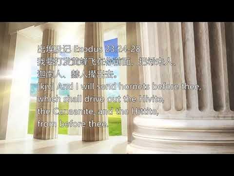 靠着敬拜 更清楚地听到神的声音Hearing God clearer by worship- Jedidiah Tham谭适德TOD ...