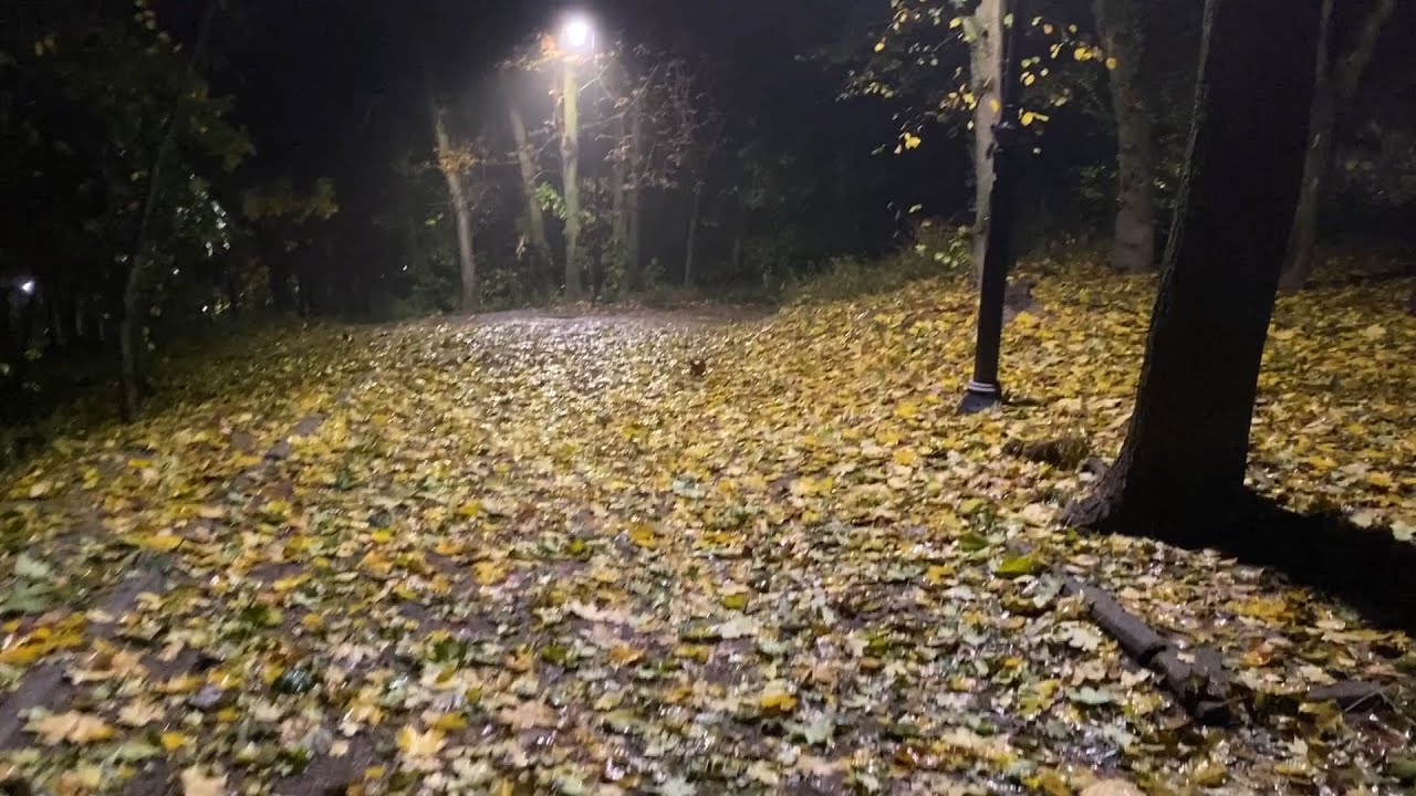 Alex Angel - Anthem Of The World (Live) - YouTube