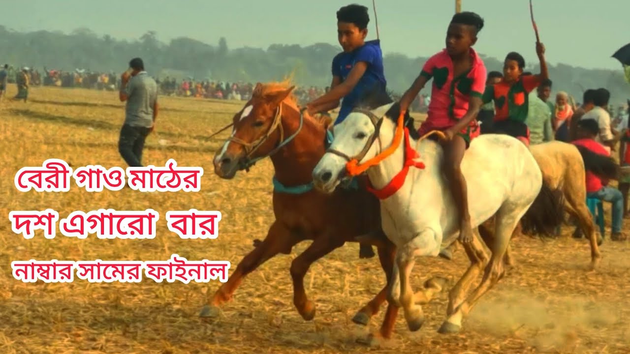 বেরী গাও মাঠের দশ এগার বার নাম্বার সামের ফাইনাল ঘোড়ার দৌড়। Final ...