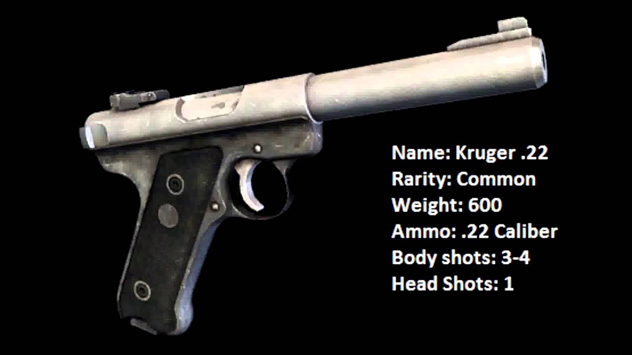 Infestation Survivor Stories (The WarZ) Kruger.22 Review - YouTube