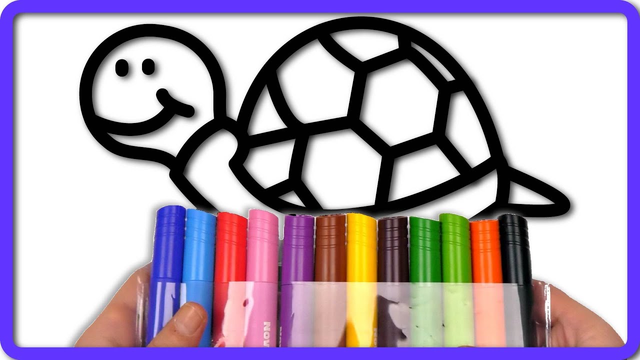 🐢 Turtle Drawing and Coloring Page | Fun and Educational Activity for ...