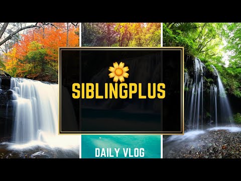 🦋 DAILY FAMILY VLOG | ROHAN | ZANJABEEL | RAYYAN | SSG | RUBA | SHAKEEL ...