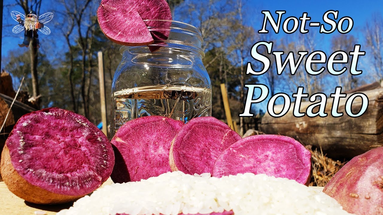 Japanese SHOCHU from PURPLE SWEET POTATOES! - YouTube